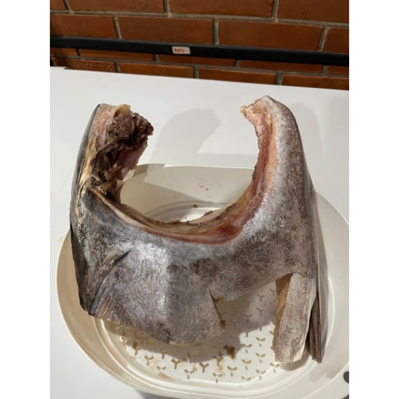 Jual Rahang Tuna Lokal | Shopee Indonesia