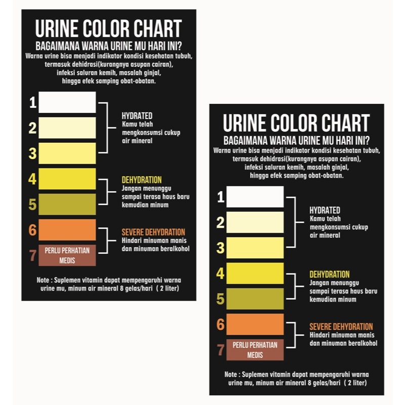 Jual Stiker Indikator Warna Urine Stiker Cek Warna Urine Stiker Cek Air ...
