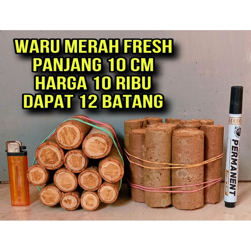 Jual waru merah super fresh 10.000 dapat 12 batang. | Shopee Indonesia