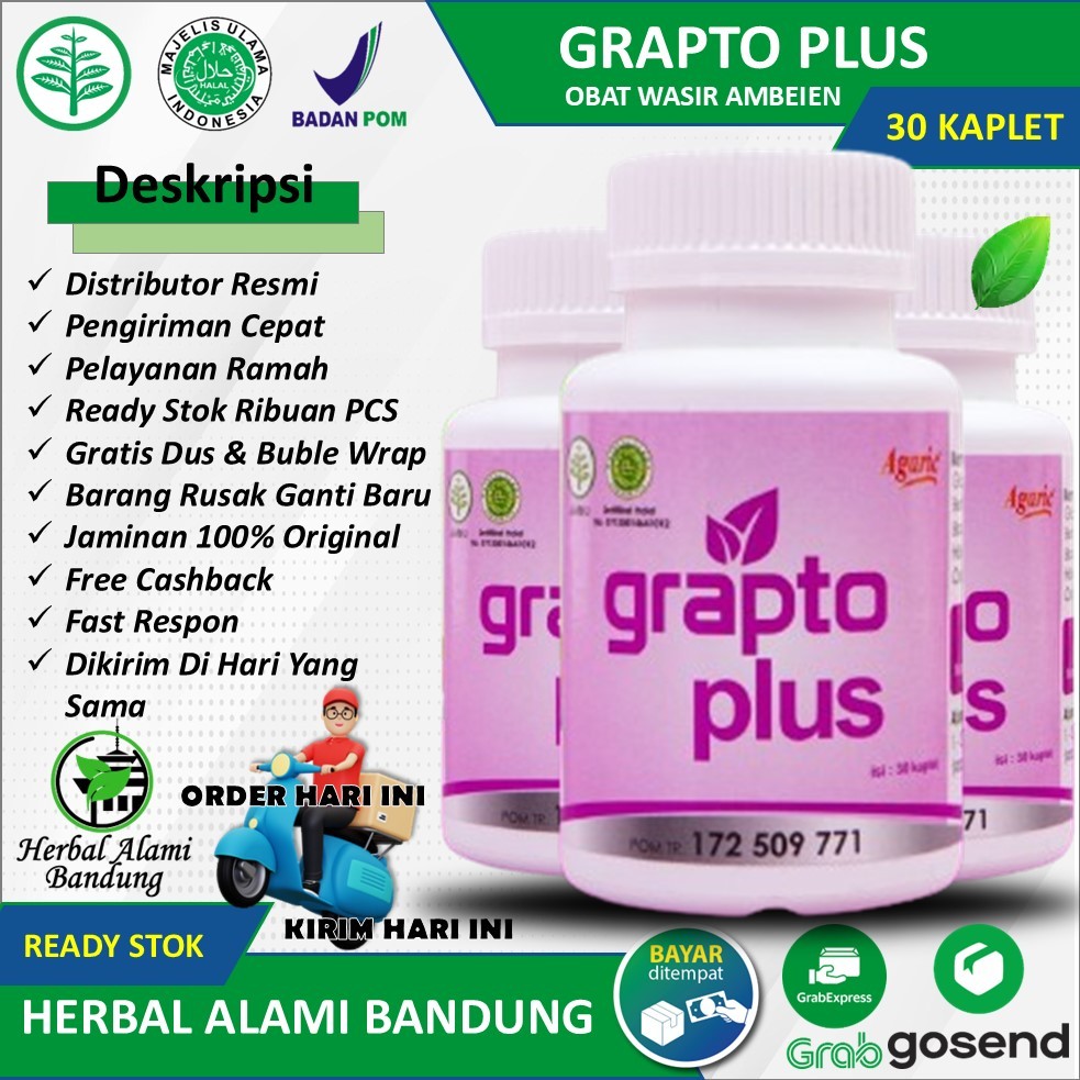 Jual Grapto Plus Asli Original Obat Wasir Dan Ambeien Graptoplus Obat ...