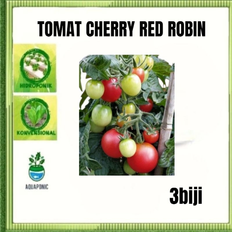 Jual 3 Biji benih Tomat Cherry red robin | Shopee Indonesia