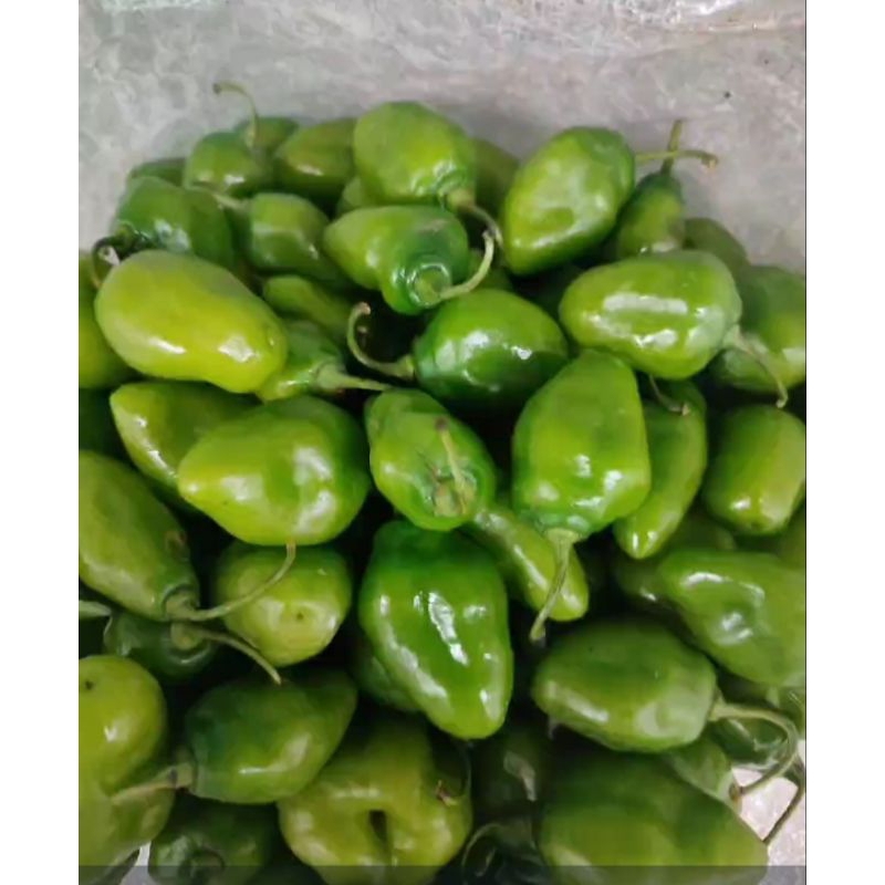 Jual cabe gendot super | Shopee Indonesia