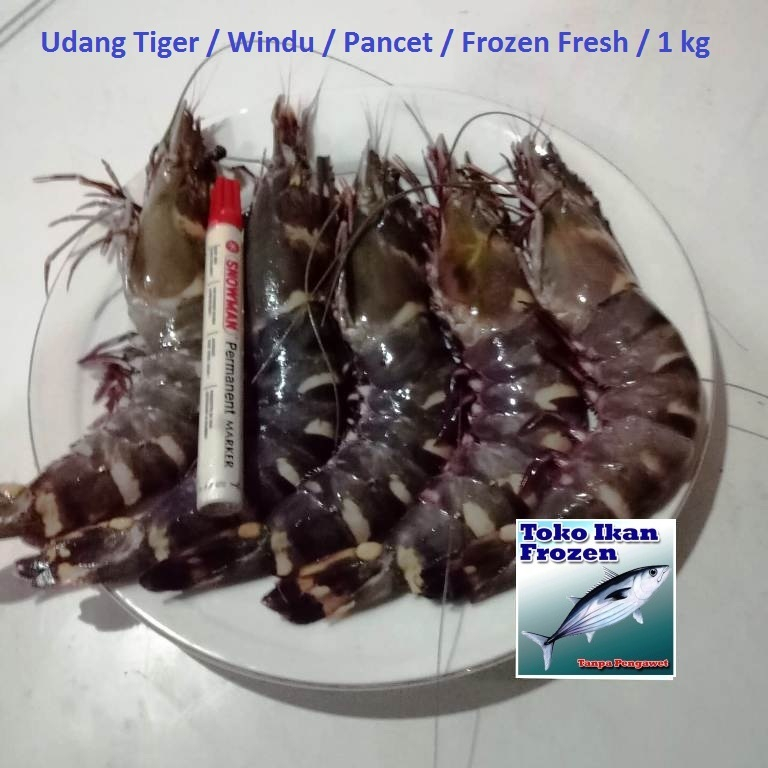 Jual UDANG TIGER / WINDU / PANCET / Frozen Fresh / 1 kg | Shopee Indonesia