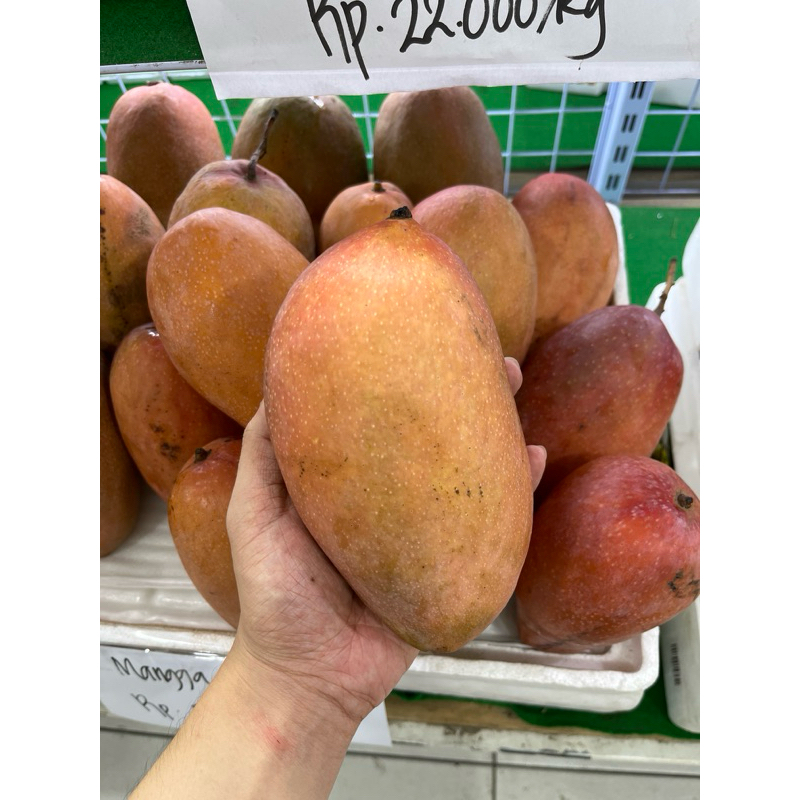 Jual Mangga Thailand Yu Wen Manis Asli 1 KILO mango merah hijau ...