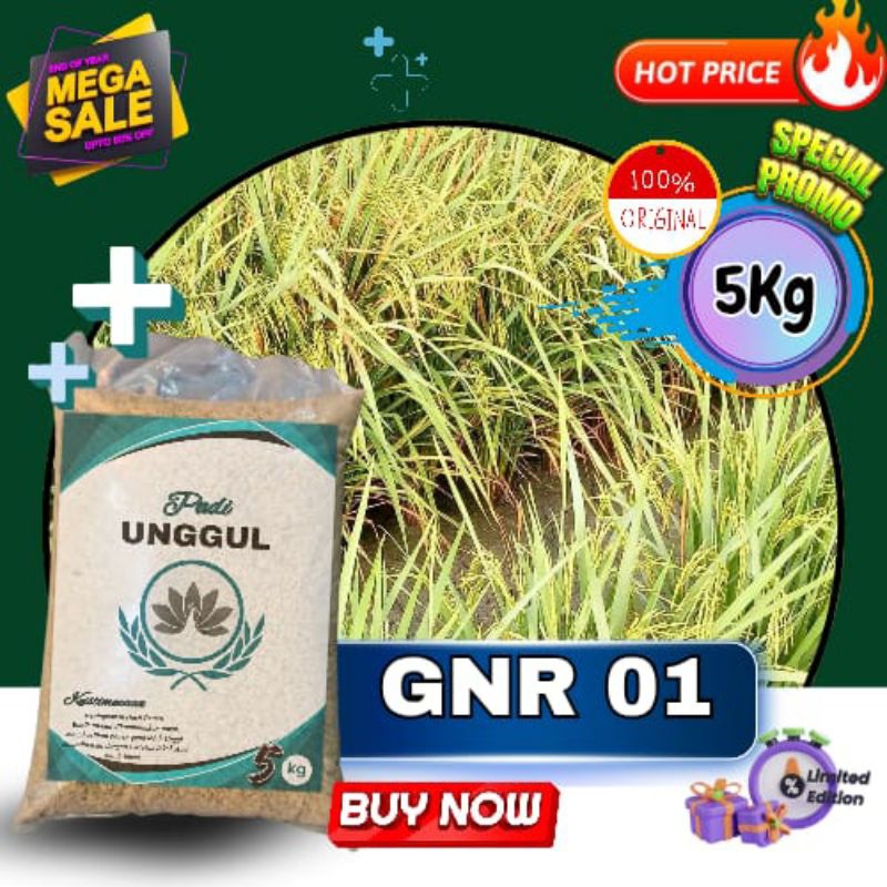 Jual benih padi gnr 01 benih padi berkualitas super benih padi unggul dalam kemasan 5kg | Shopee ...