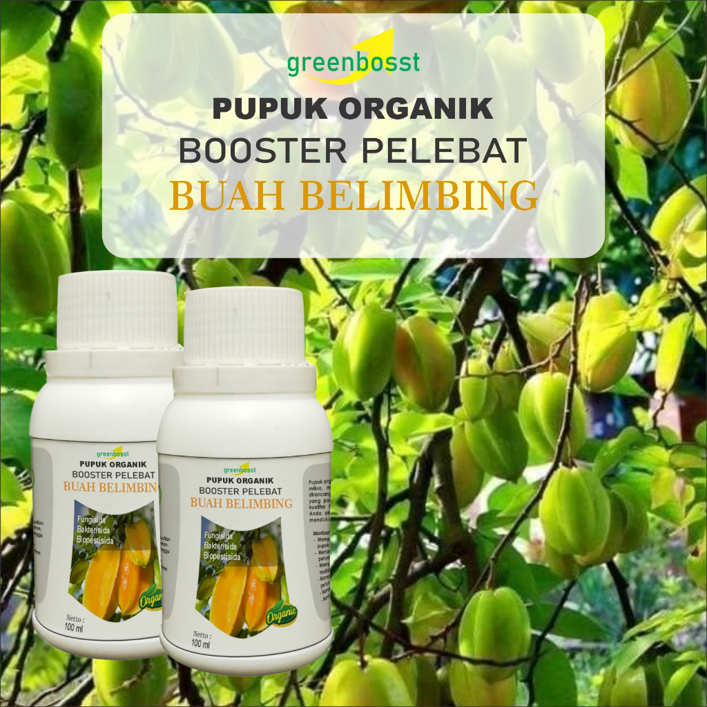 Jual booster belimbing 100ml, pupuk organik cair meningkatkan kualitas dan ukuran buah | Shopee ...