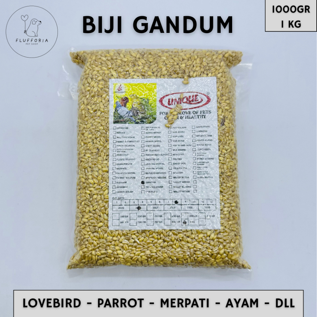 Jual BIJI GANDUM PUTIH/WHEAT SEEDS - PAKAN UNTUK BURUNG, AYAM, KELINCI ...