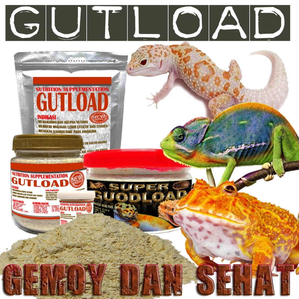 Jual GUTLOAD SUPLEMEN PAKAN JANGKRIK PENGGEMUK PET REPTILE GECKO KADAL ...