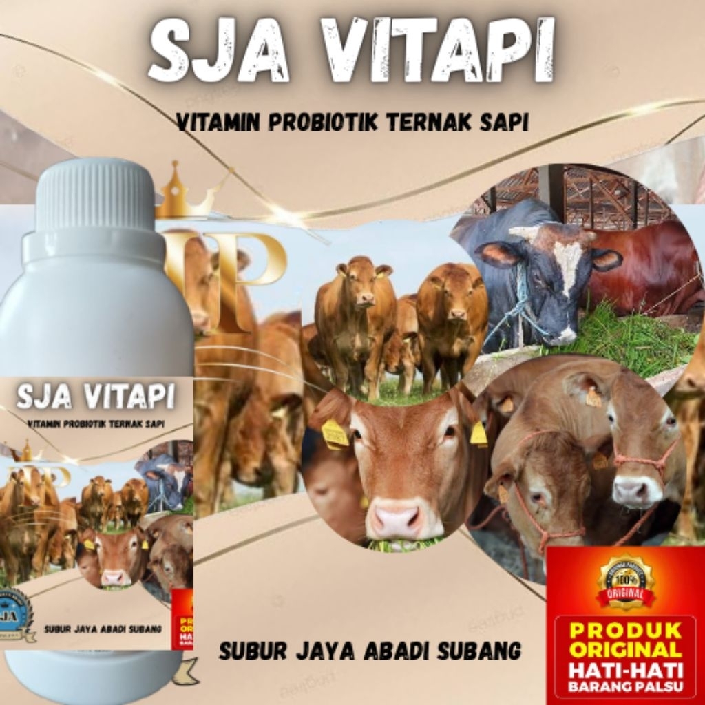 Jual Probiotik Sapi Vitamin Nutrisi Suplemen Penggemuk Bikin Gemuk ...