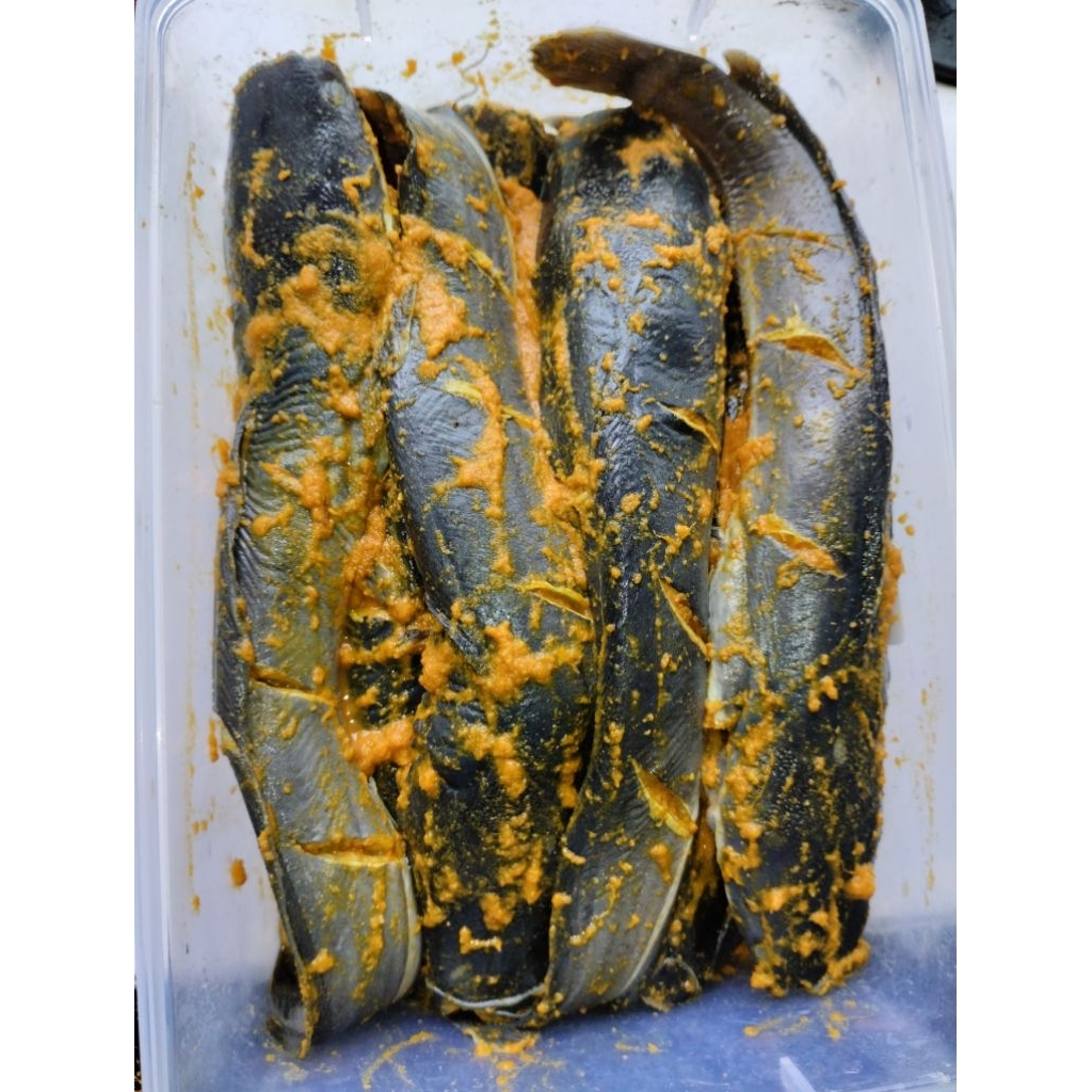 Jual Lele Bumbu Kuning Fresh/Frozen Bersih Tanpa Kepala 1kg isi 6 ekor ...