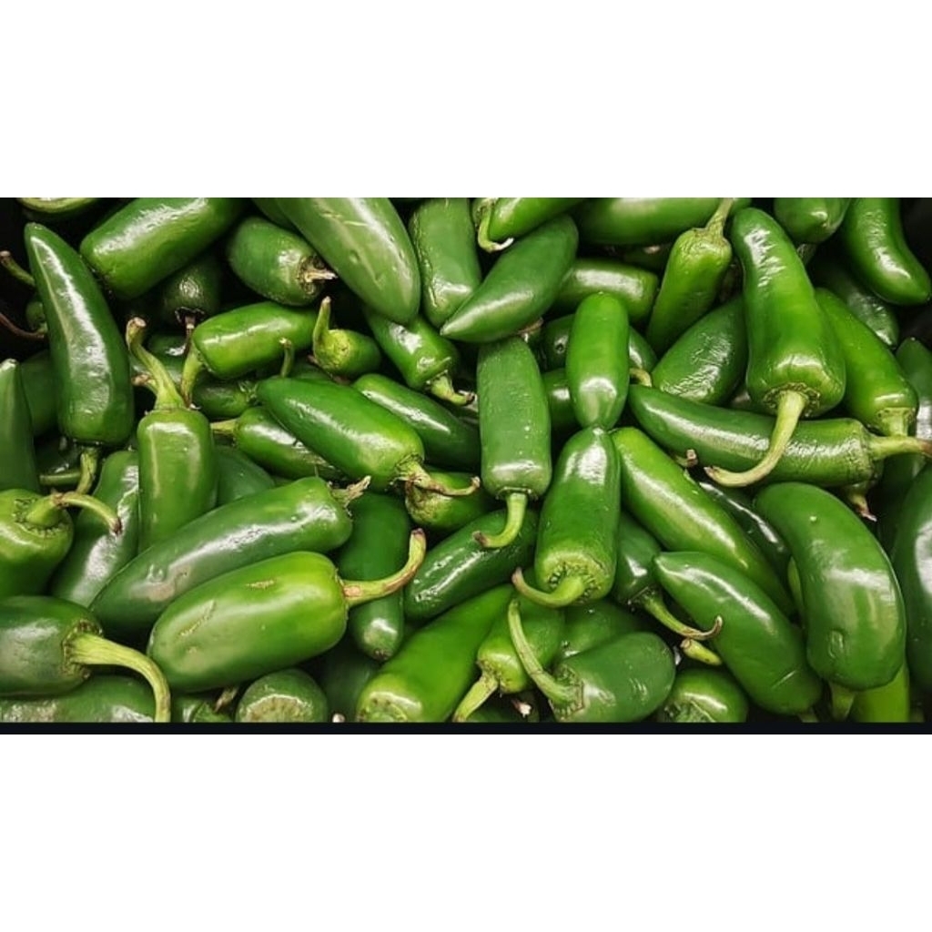 Jual Cabai Hijau Tw/Cabe hijau gendut/cabe hijau besar | Shopee Indonesia