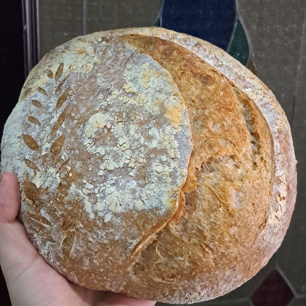 Jual Sourdough Country Bread (Classic & Wholewheat) | Shopee Indonesia