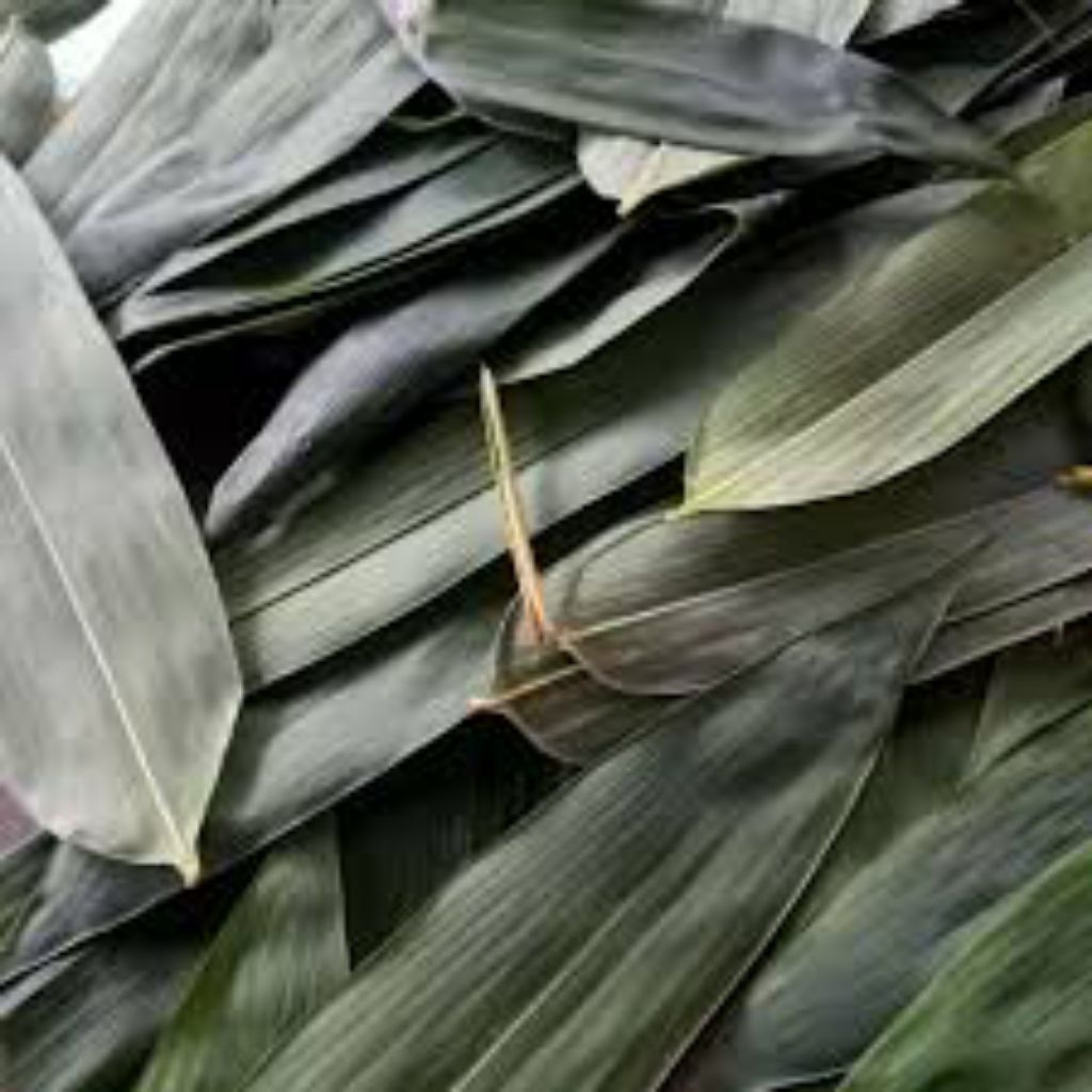 Jual 100 lambar daun bakcang CIuNGCANG ukuran 6-10 pilihan fresh ...