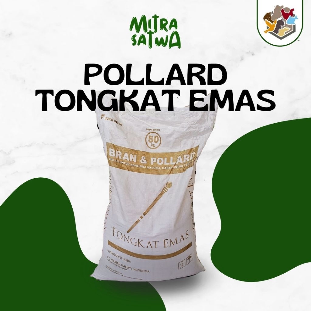 Jual [MS] Pollard Tongkat Emas 1 kg Polar Gandum Sapi Kambing Unggas ...