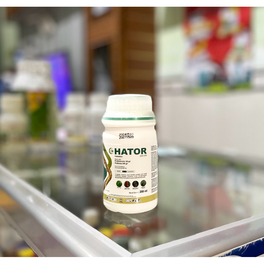 Jual HATOR Fungisida Obat Mboler Bawang Merah (JAMINAN ORI) | Shopee ...