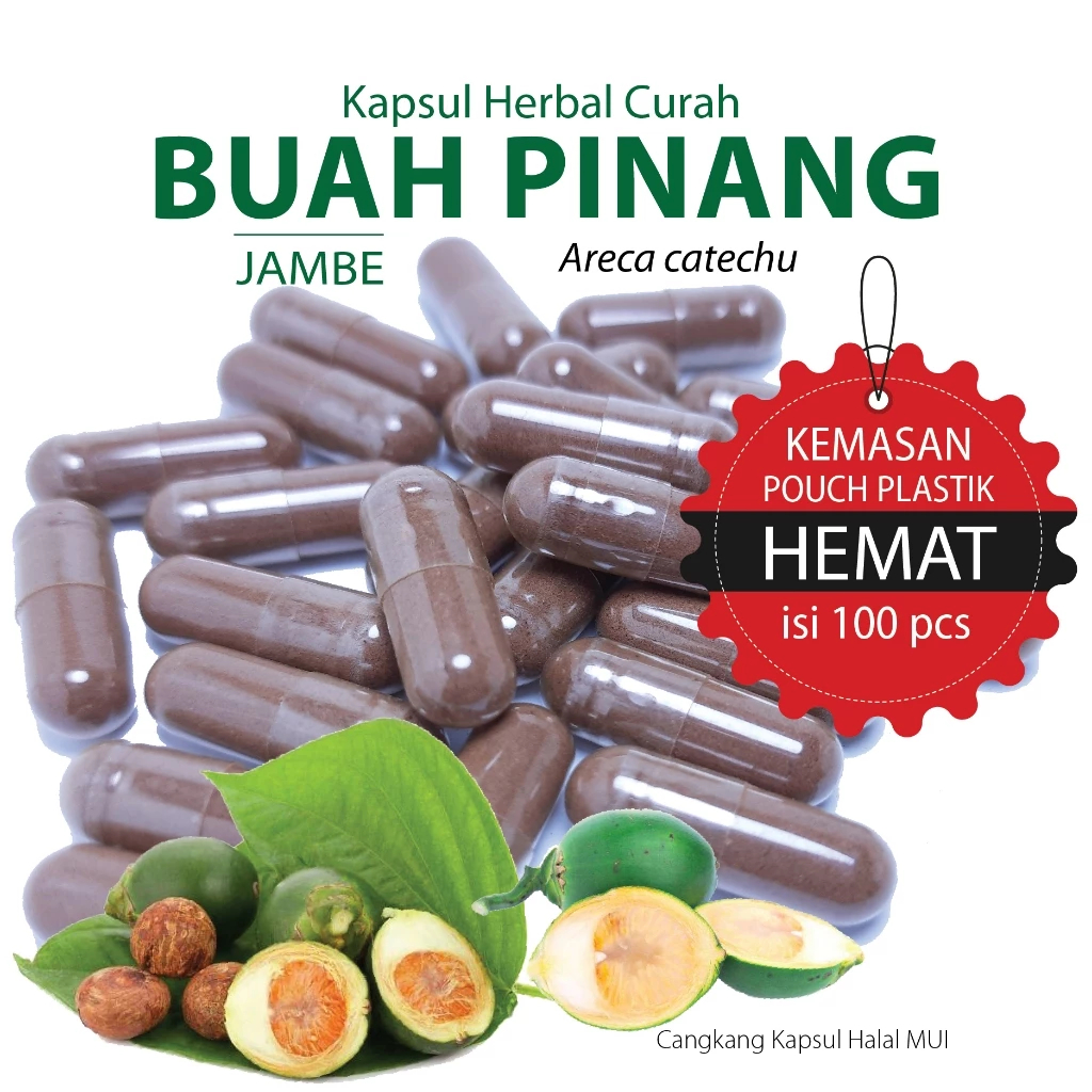 Jual Buah Pinang Kapsul Obat Herbal Meningkatkan Vitalitas Pria Anemia ...