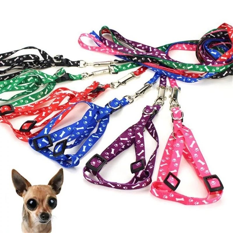 Jual Tali Tuntun Kucing Anjing Musang Kelinci Otter - Harness Y Kucing ...