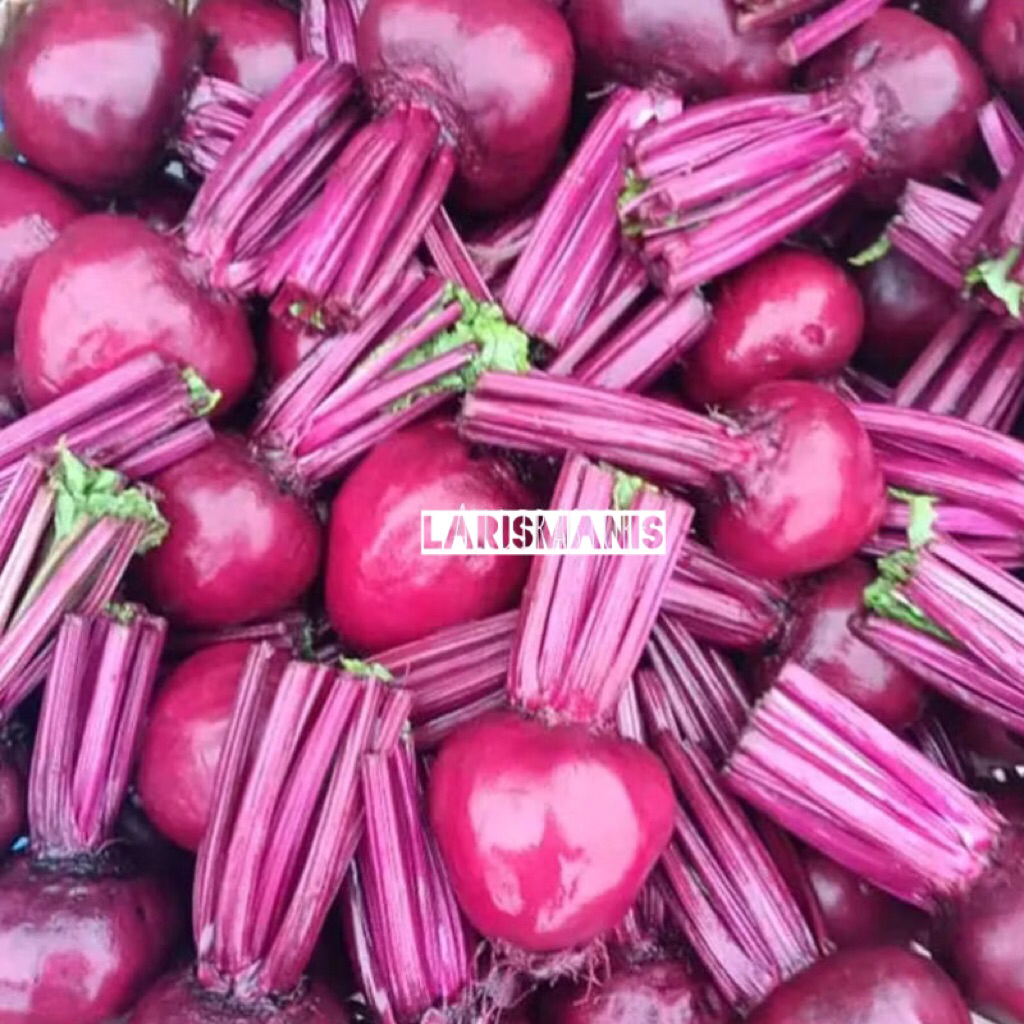Jual Buah Bit/Beet Segar 1kg | Shopee Indonesia