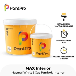 Toko Online PaintPro Official Store | Shopee Indonesia