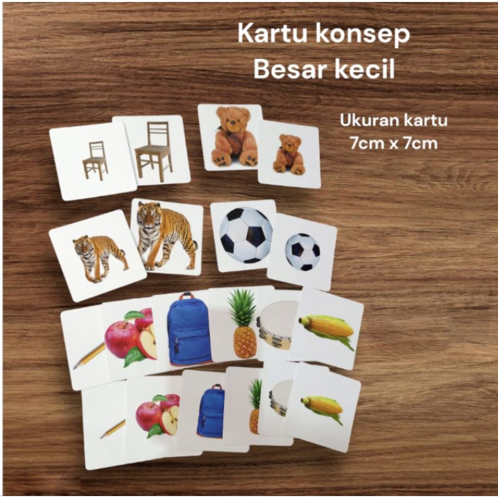 Jual KARTU FLASH CARD BESAR KECIL UNTUK TERAPI ATAU EDUKASI | Shopee ...