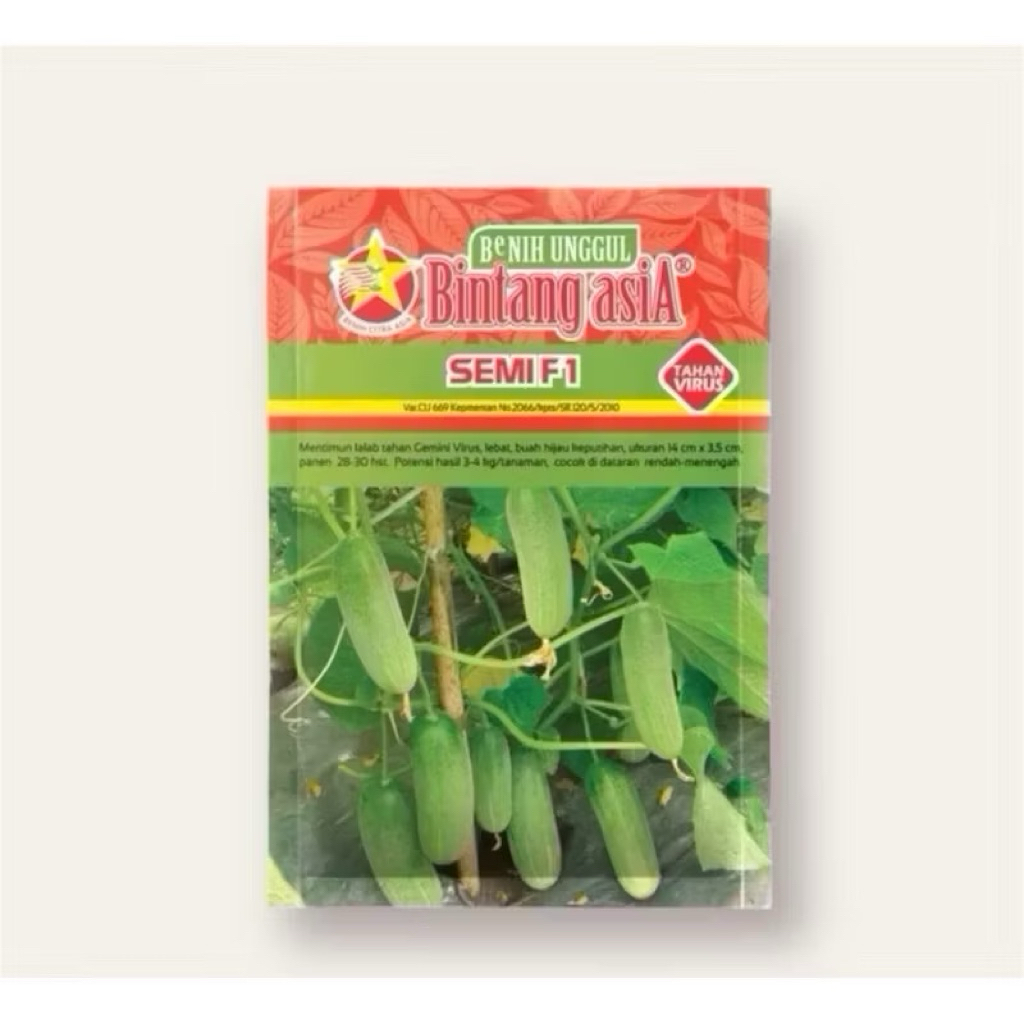 Jual Benih baby timun SEMI F1 20 gram ketimun hibrida mini cocok ...