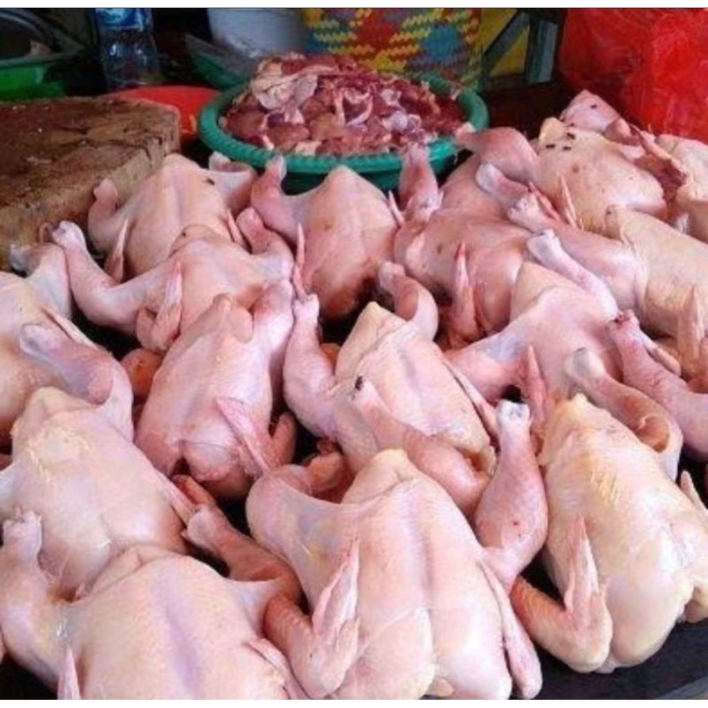 Jual Ayam Negeri segar fresh pasar pagi/ ayam negeri fresh segar 1.2kg ...