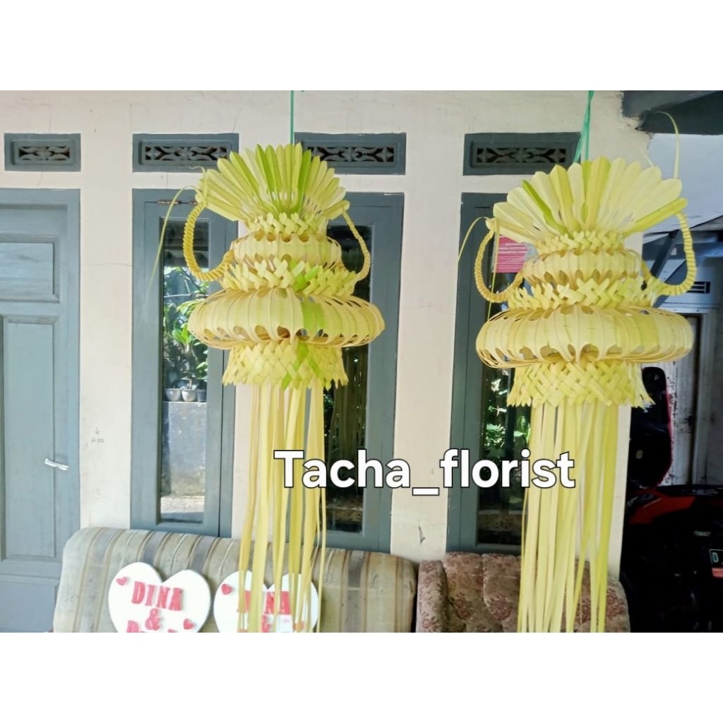 Jual janur kuning segar + nama janur | Shopee Indonesia