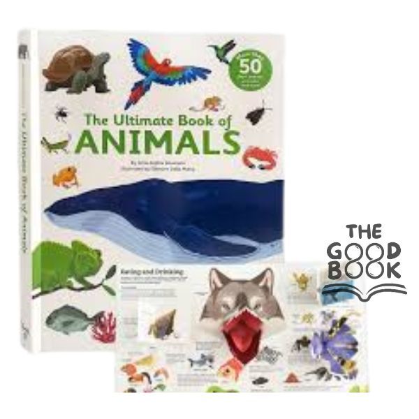 Jual Usborne The Ultimate book Buku Cerita Anak | Shopee Indonesia