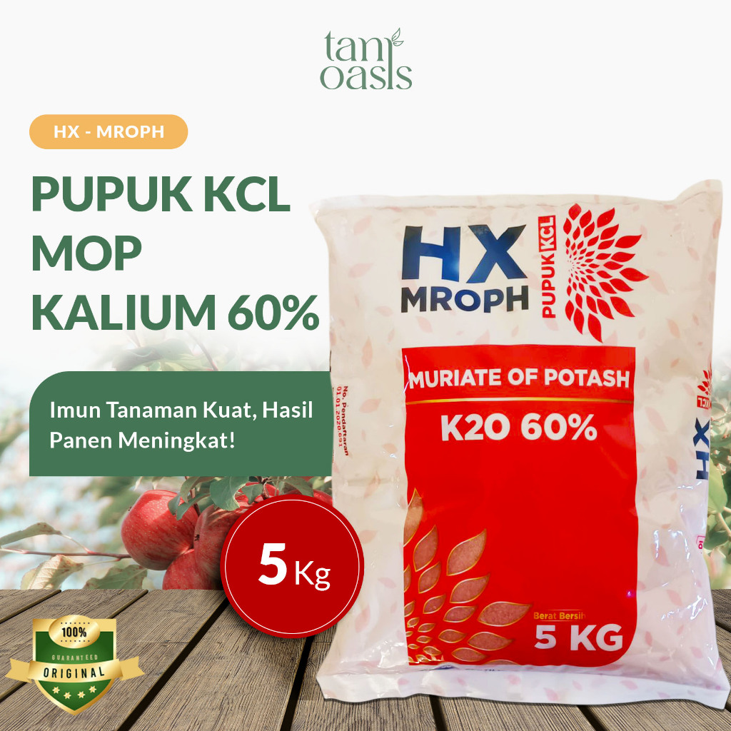 Jual Pupuk KCL Kalium 60% HX Mroph - Pupuk MOP - Kemasan 5 KG - Pupuk Buah Peningkat Imun ...