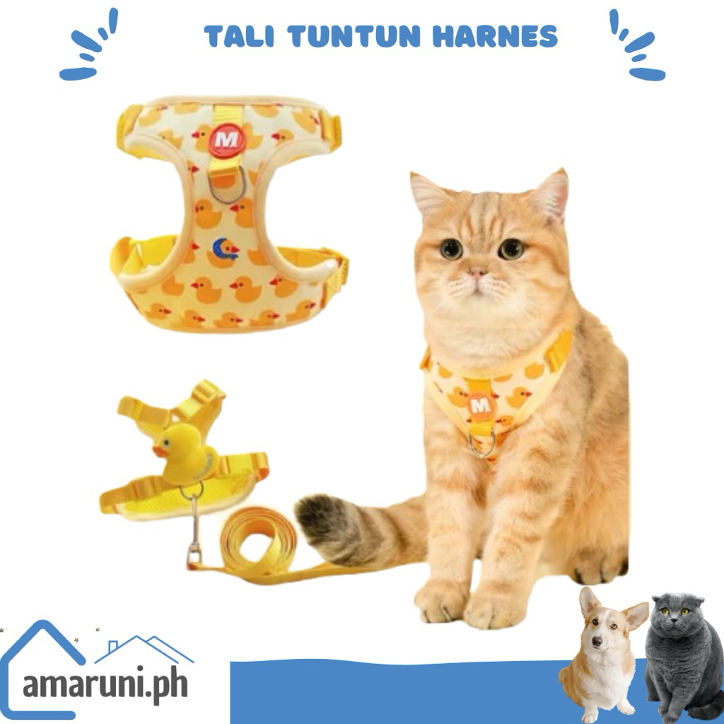 Jual Harness Tali Tuntun Harness ROMPI Rompi Harness Modis Mesh Lembut ...
