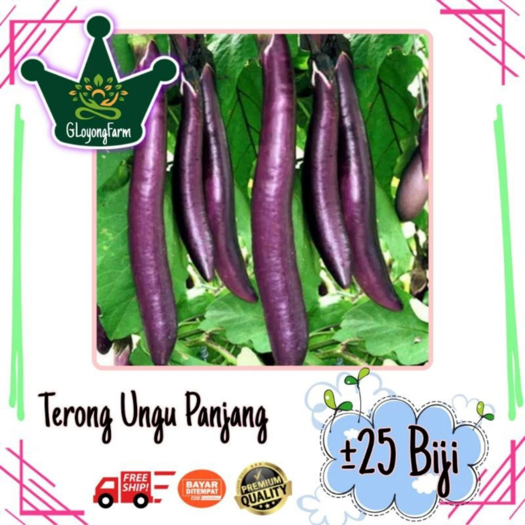 Jual Benih Bibit Terong Ungu Panjang Unggul Berkualitas - Benih Bibit ...