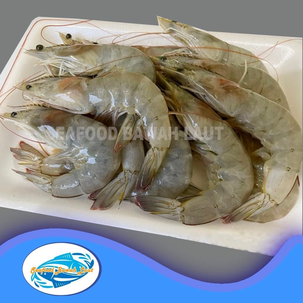 Jual Udang Vanem Besar (1kg Isi 38/40) | Shopee Indonesia