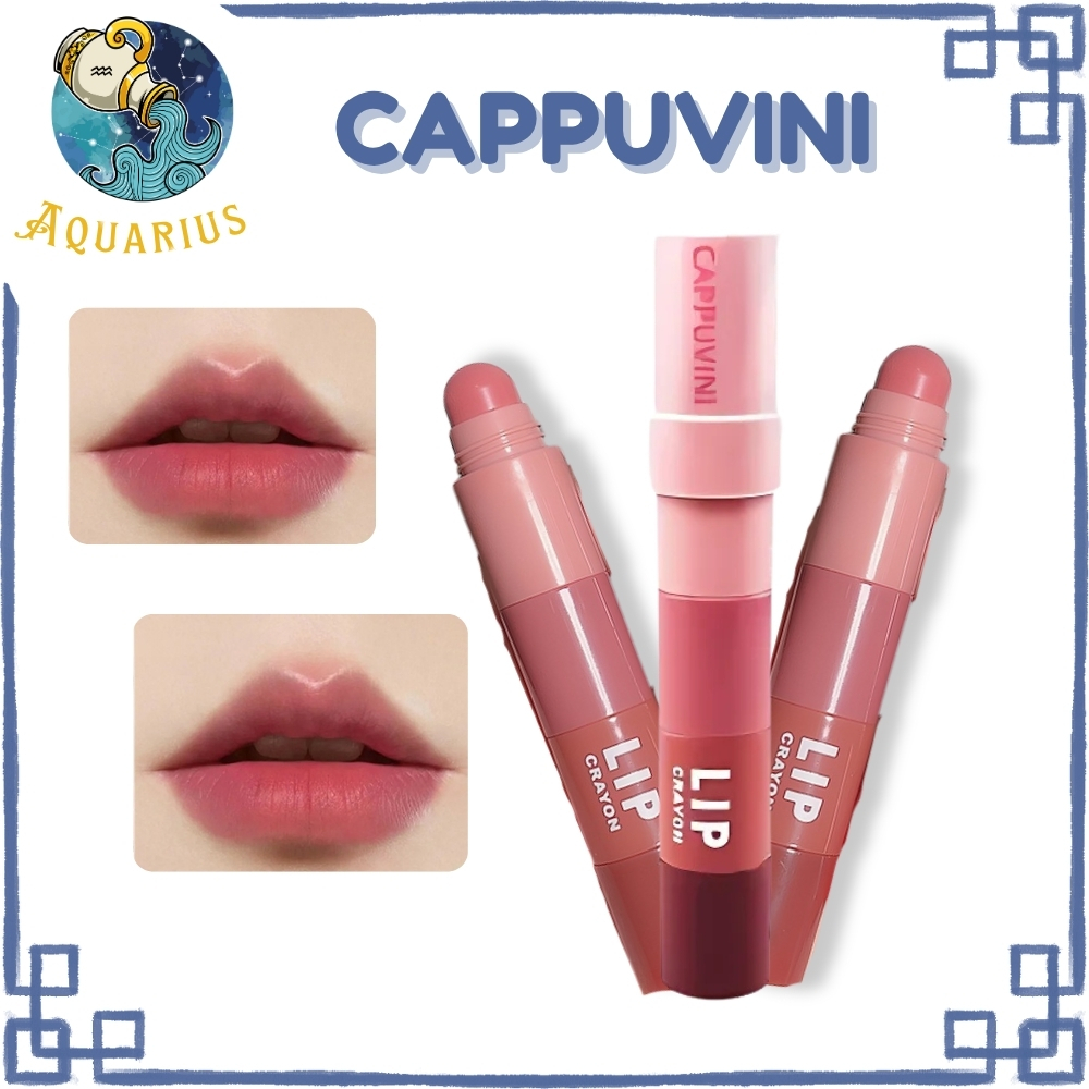 Jual AQR - CAPPUVINI 4in1 Crayon Lipstick isi 4 Warna Lipstick Matte ...