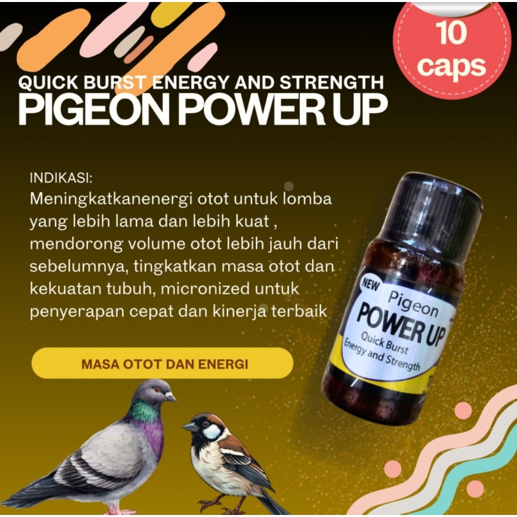 Jual Pigeon Power Up 10 kapsul, untuk kekuatan dan energi burung ...
