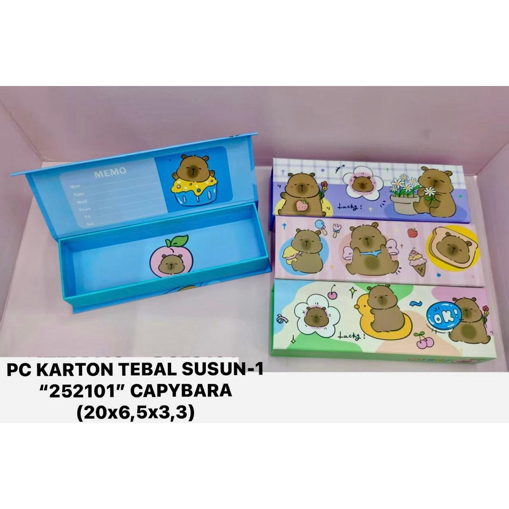 Jual KOTAK PENSIL Karton KARAKTER TEPAK Dos 252101 Capybara Dus Viral ...