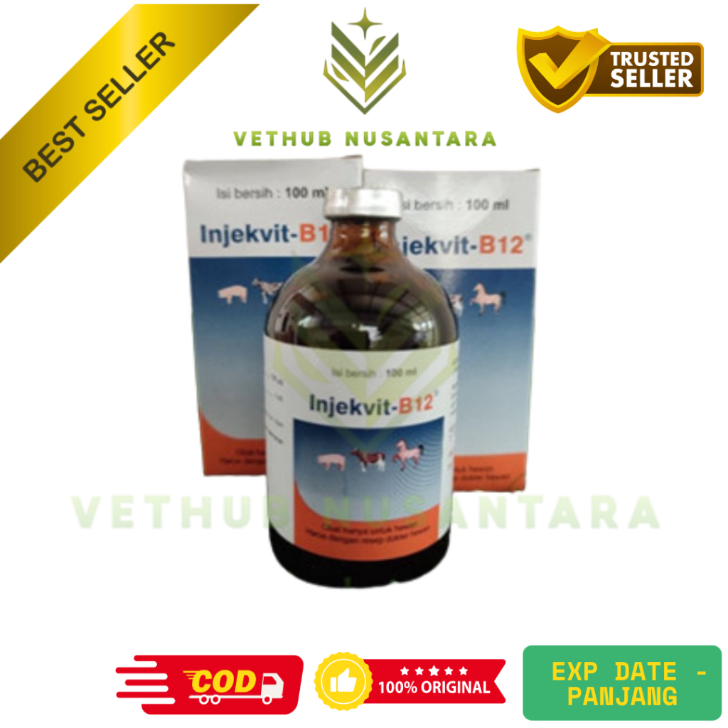 Jual INJEKVIT B12 100 ml MEDION Obat B12 Untuk Perbaiki Kondisi Tubuh ...