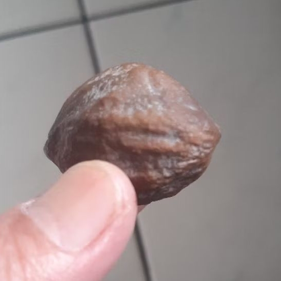 Jual Kemiri Adu Muncang Adu Jalim Jawa Ori Pasangan Mewah | Shopee ...