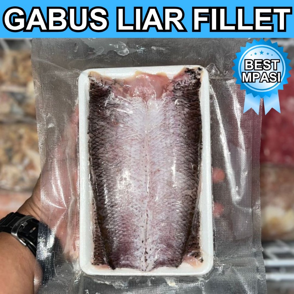 Jual GABUS KUTHUK LIAR FILLET PREMIUM | Shopee Indonesia