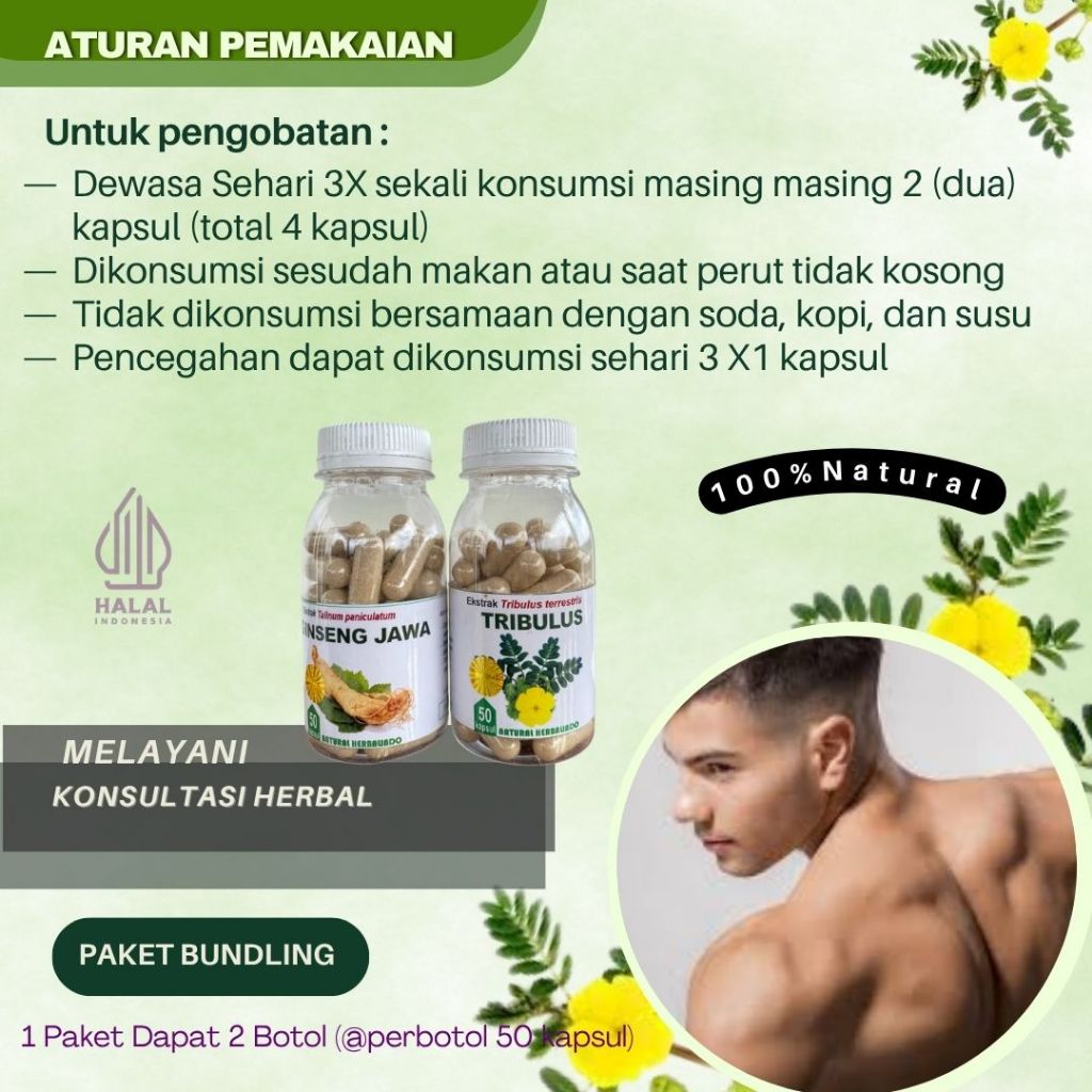 Jual obat herbal stamina pria tribulus mencegah disfungsi ereksi lemah ...