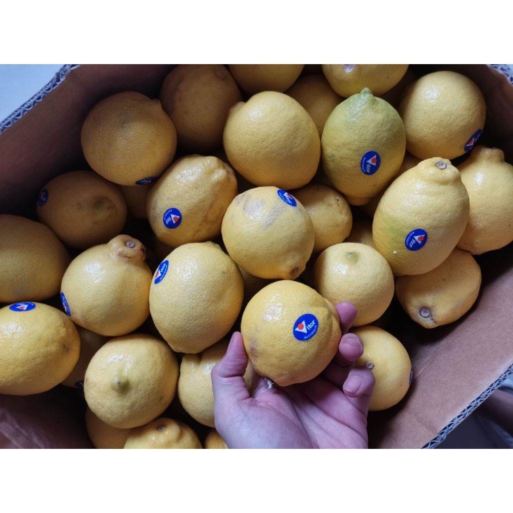 Jual Lemon Import - Lemon Permen - Lemon 1KG | Shopee Indonesia