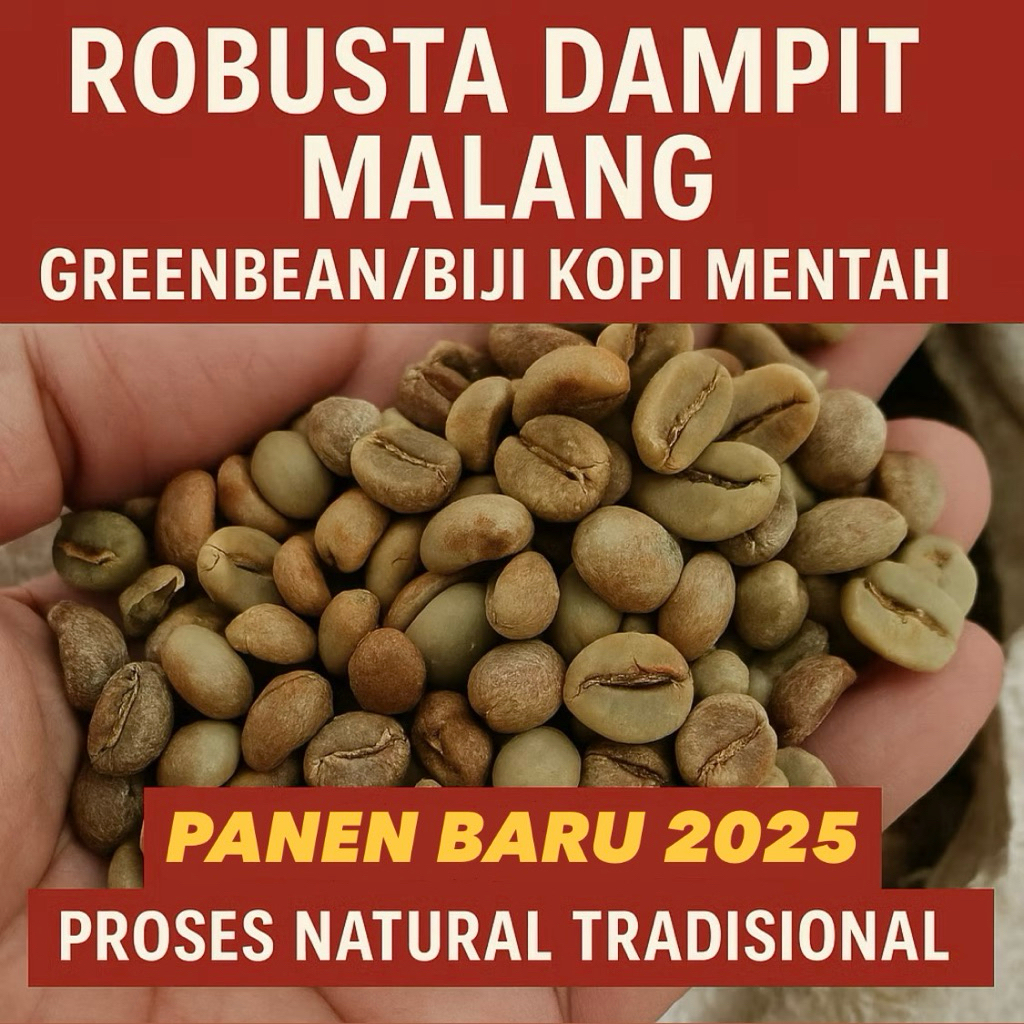 Jual Green Bean Dampit Robusta G1 Panen 2025 Super Premium Natural ...