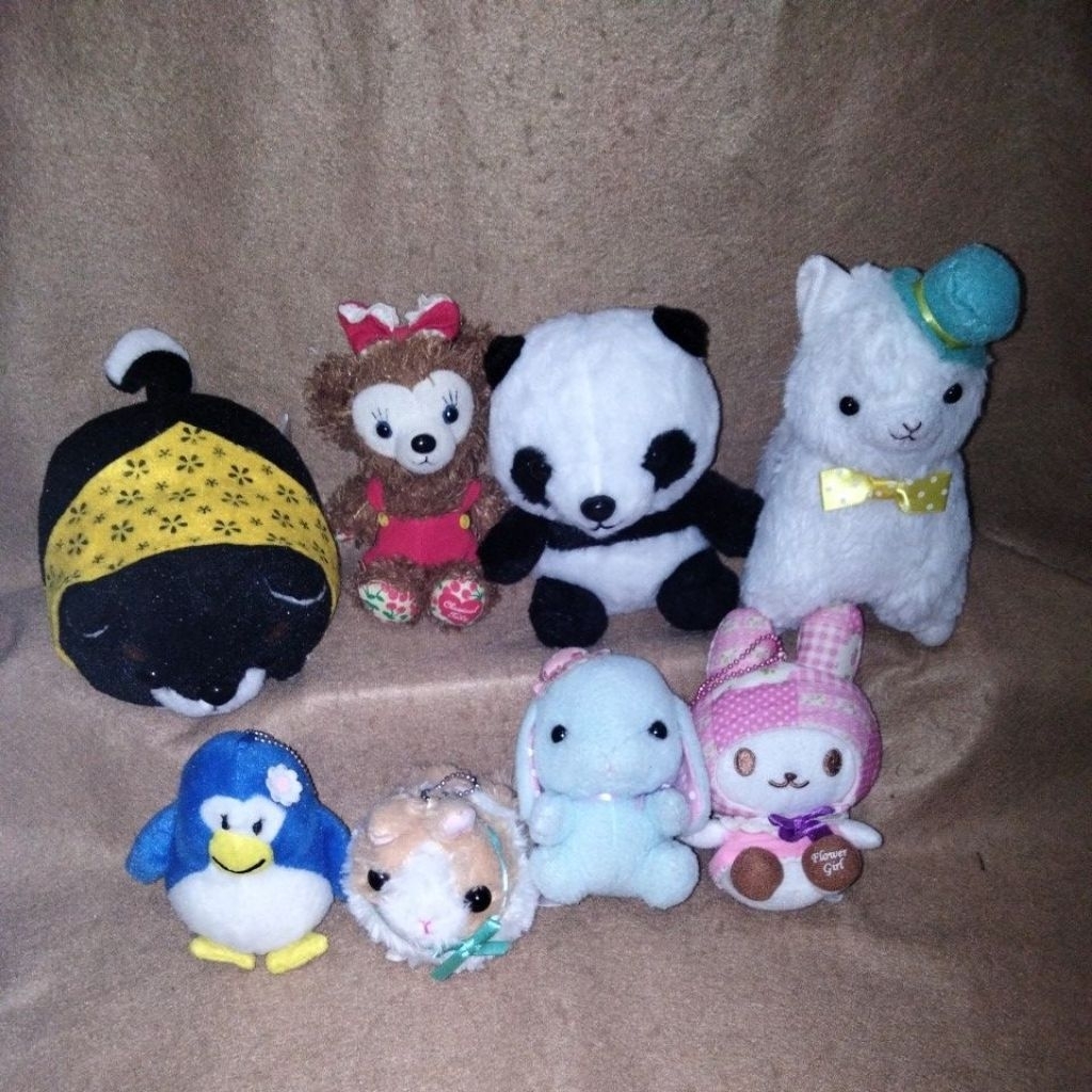 Jual Amuse Loppy,Alpaca,Panda, marmut,Kelinci, kucing, teddy, shiba ...