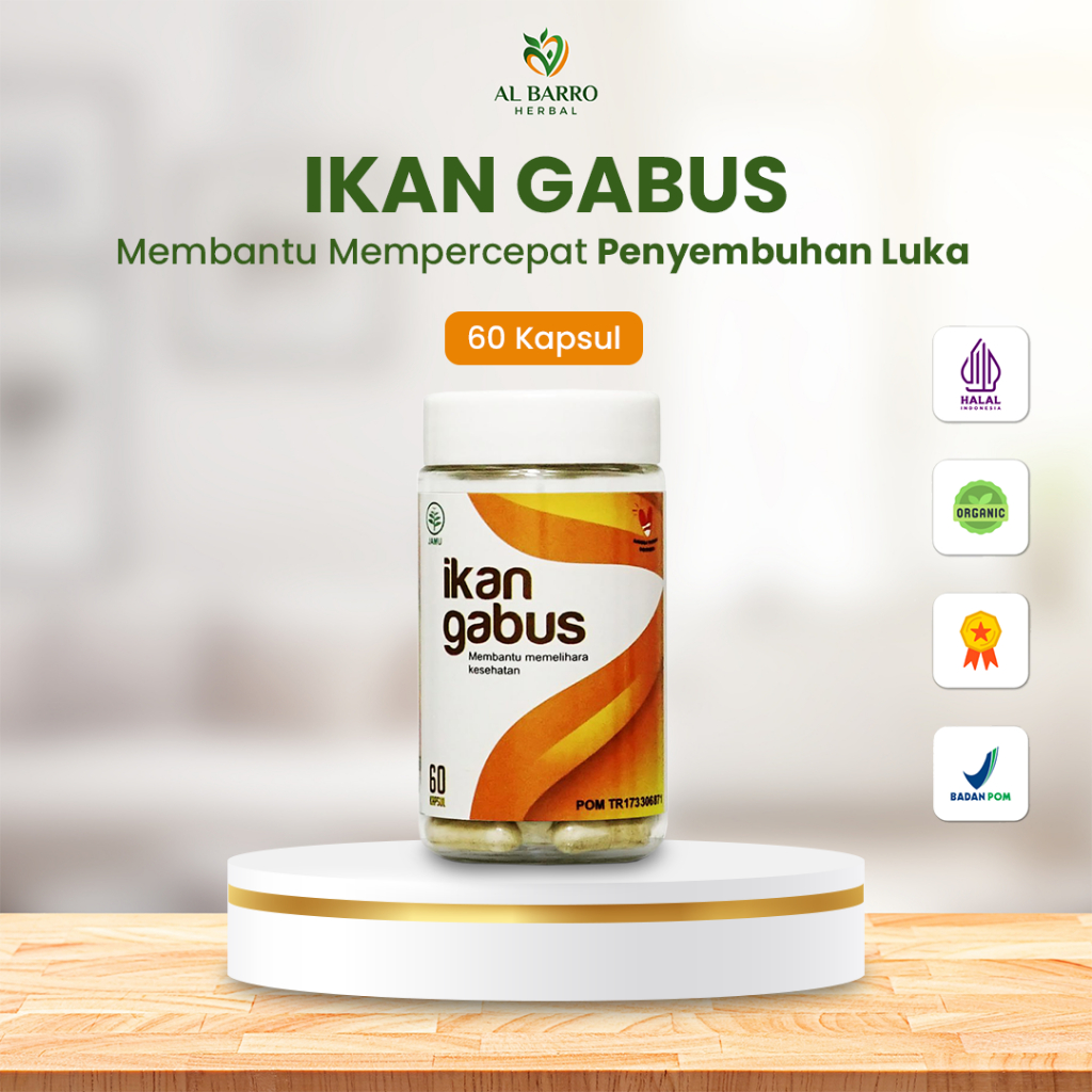 Jual KAPSUL IKAN GABUS | Al Barro Herbal - Bantu Atasi bekas Luka bekas ...