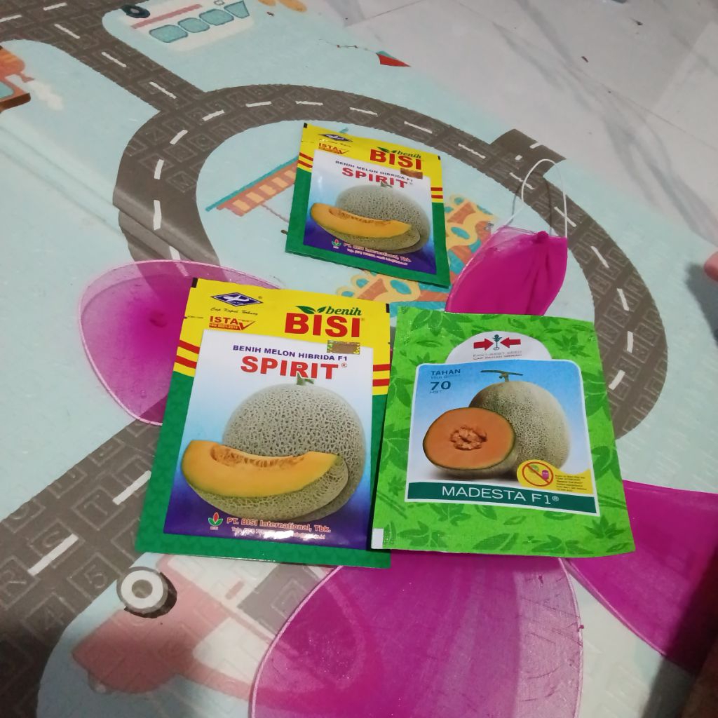 Jual Benih Bibit Melon Spirit F1, Panen Melimpah dan Produksi Tinggi ...
