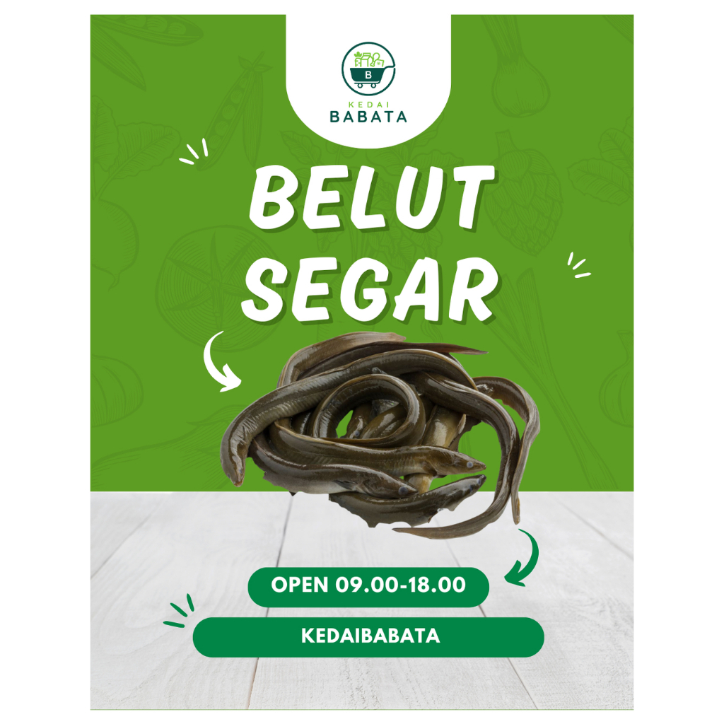 Jual Belut Baluik Sawah Besar Segar Fresh 250gr Ikan Kedai Babata ...
