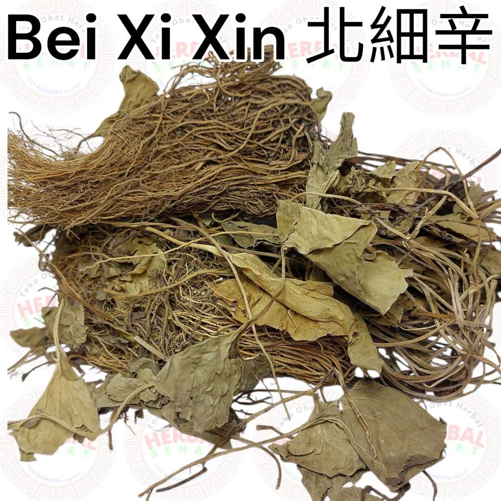 Jual Bei Xi Xin - Premium Grade Manchurian Wildginger / Asarum ...
