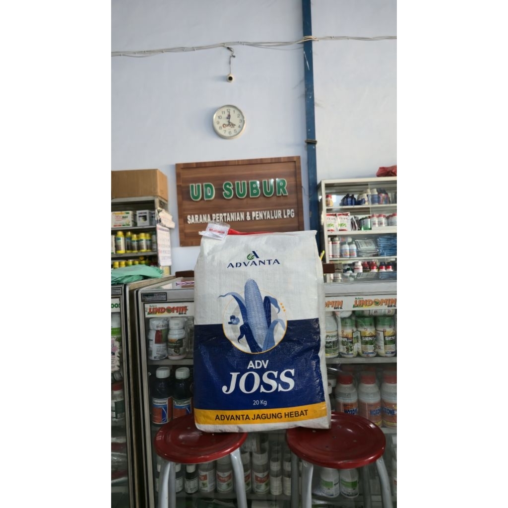 Jual BENIH JAGUNG HIBRIDA, ADV JOSS 1 BOX (20x1kg) | Shopee Indonesia