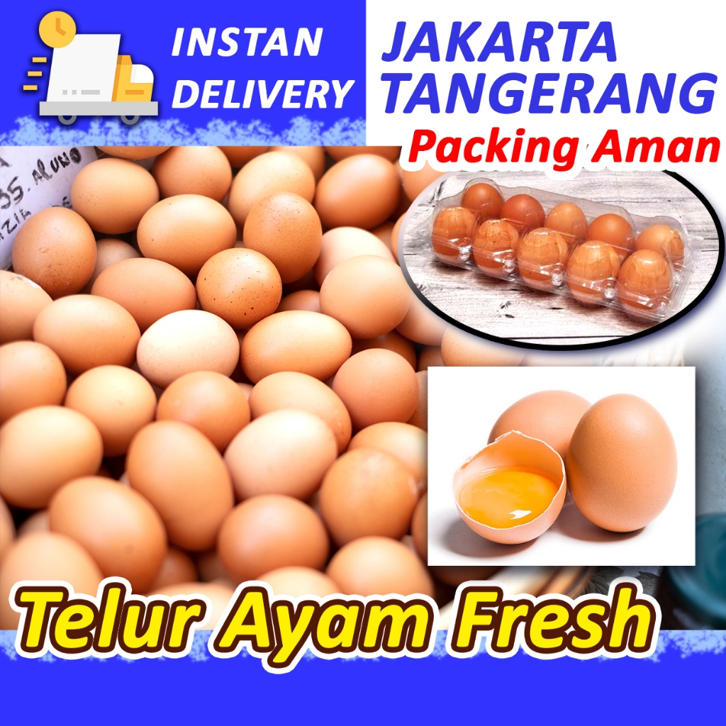 Jual Telur Ayam Negri 15 Butir, Telor 10 butir, Telur Ayam Negri Baru ...