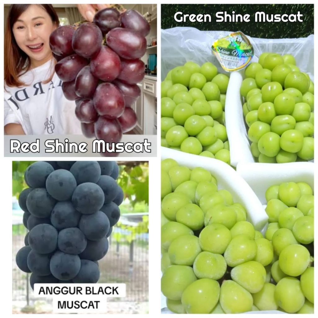 Jual anggur shine muscat anggur buah autumn anggur 1kg seedless manis ...