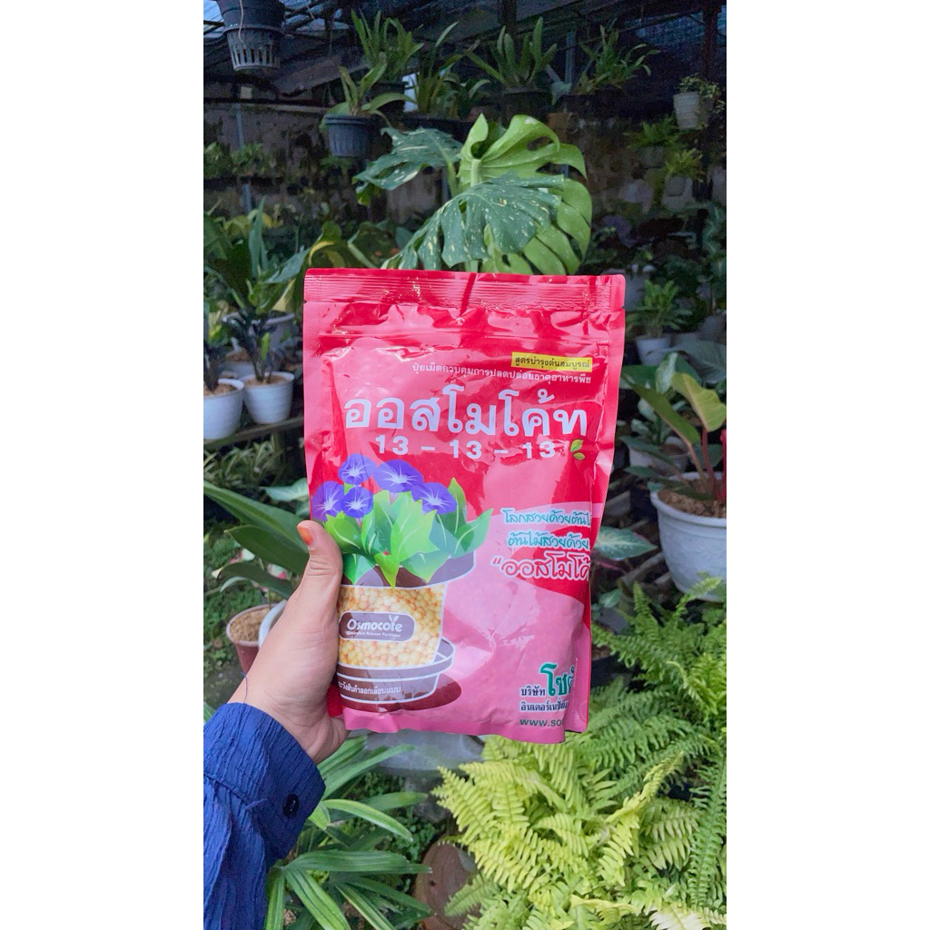 Jual Pupuk Dekastar Thailand MERAH 150 gram | 250 gram | 500 gram | 1 ...